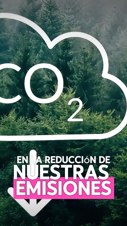 COF-999: el nuevo supermaterial que atrapa el CO2 como nunca antes ...