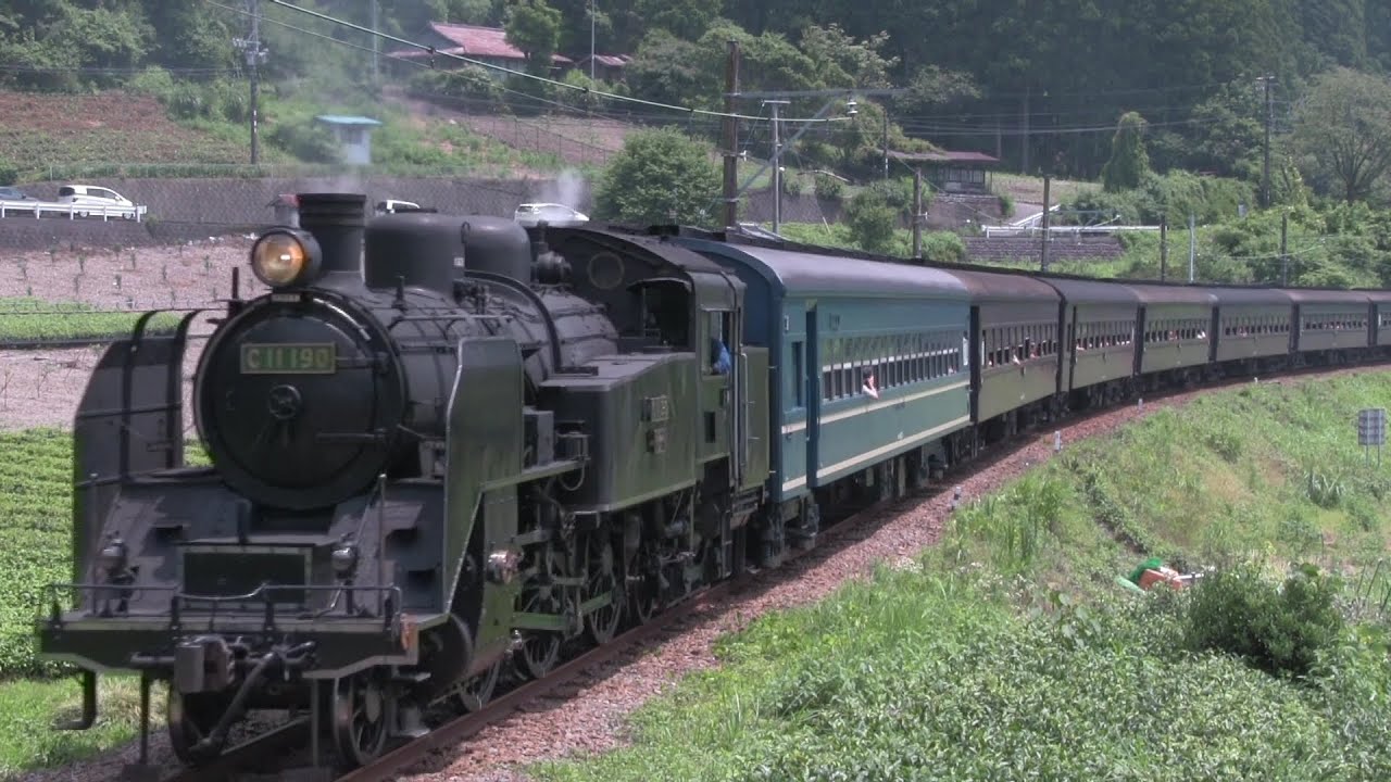 大鉄C11 190+旧客7B+いぶき501 川根路号千頭ゆき - YouTube