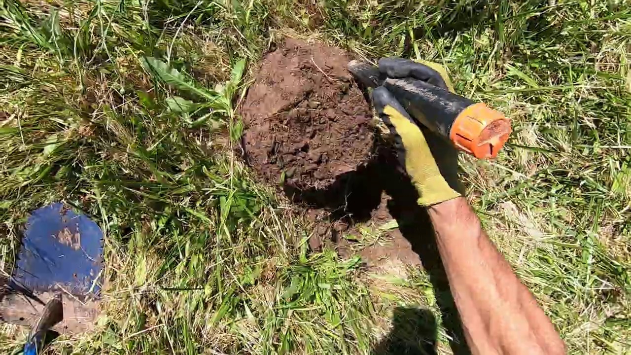 LIVE DIG ACTION!! Digging iffys at the Fairgrounds - YouTube