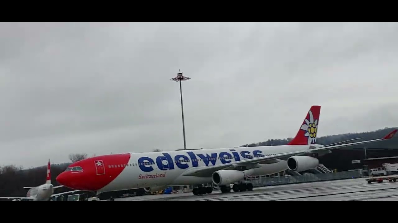 Zürich Flughafen planespotting EDELWEISS A340 300 puschback - YouTube