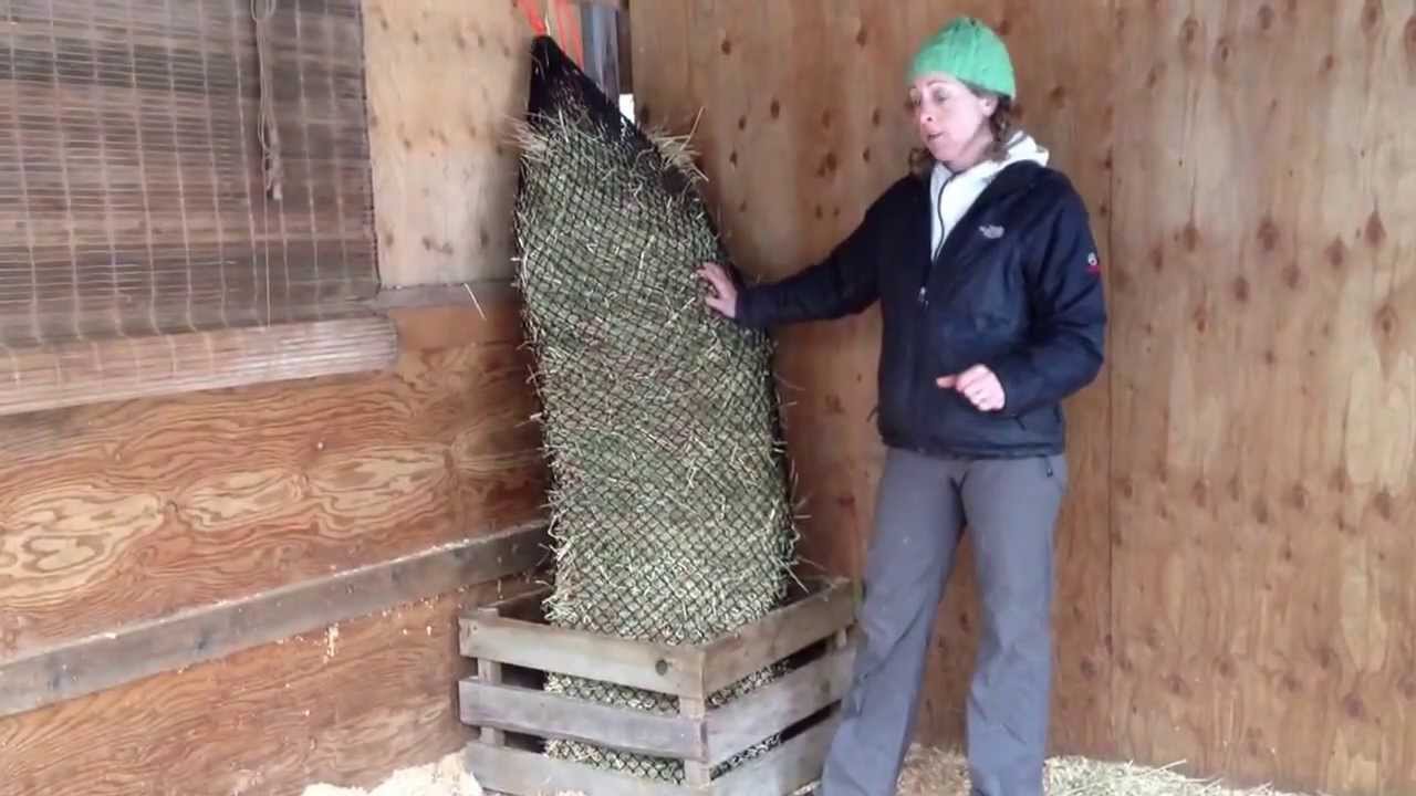 Corner box set up for shod horses with Handy Hay Nets - YouTube