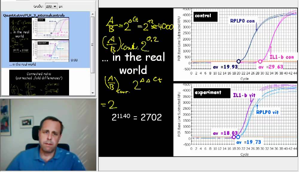 6 Quantitative PCR -- the deltadeltaCt method - YouTube