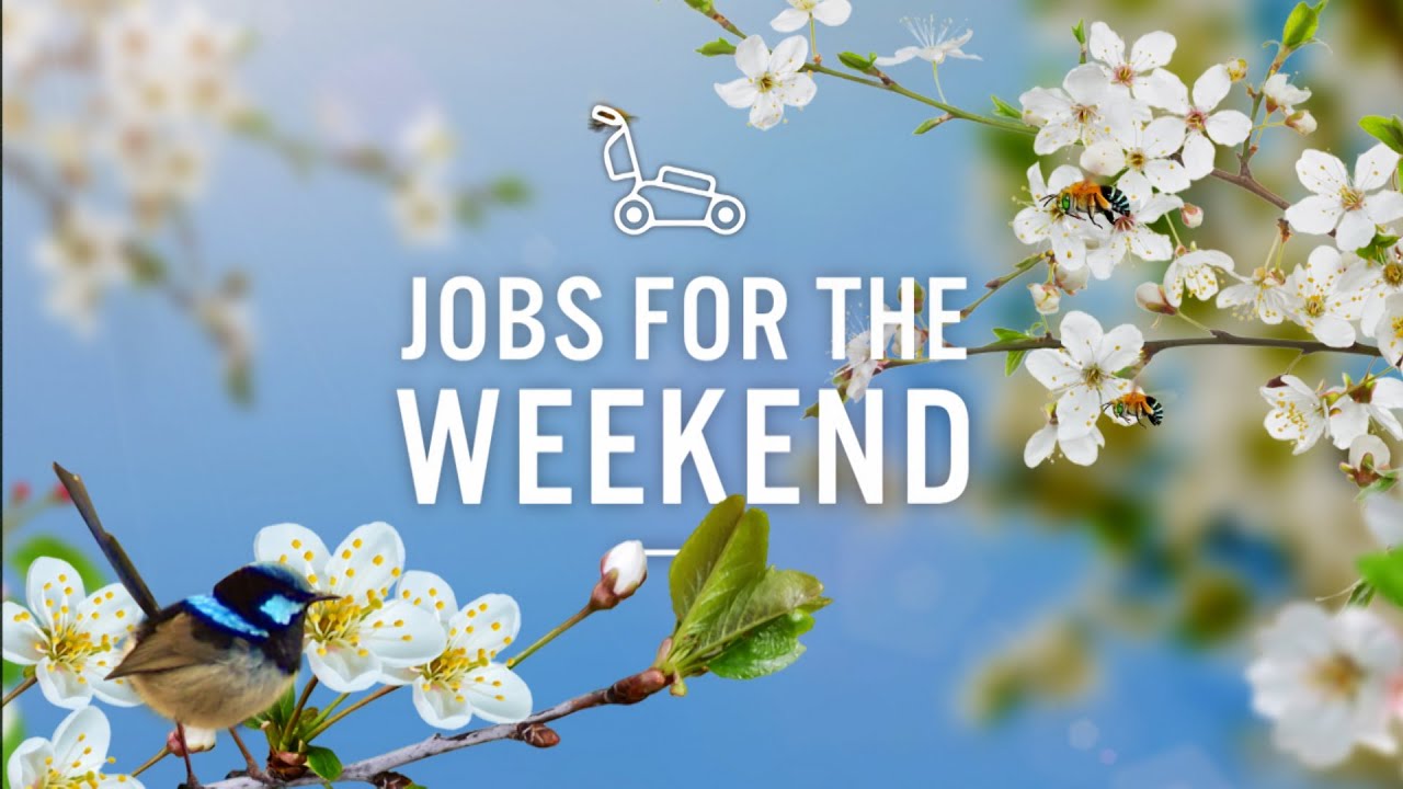 Spring: week 5 | Jobs for the weekend | Gardening Australia - YouTube