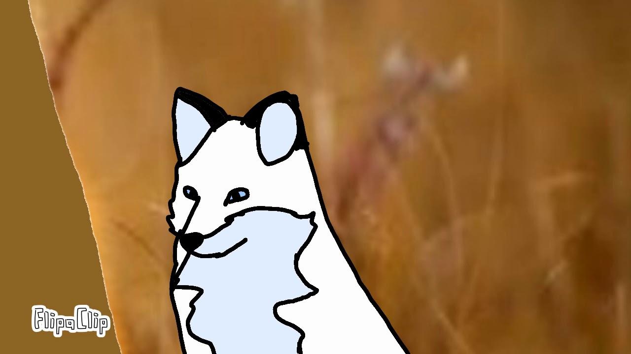 Filme the white fox - YouTube