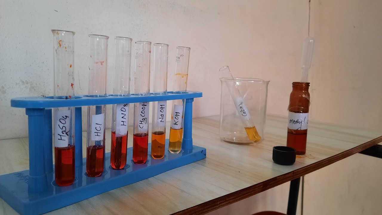 10th Science, Activity 2.1 - YouTube