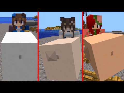 All Girls in HungerCraft, Minecraft Digestion Mod for 1.20.1