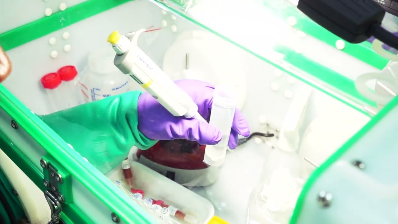 EAC Mobile Laboratories Practical Laboratory Training - YouTube