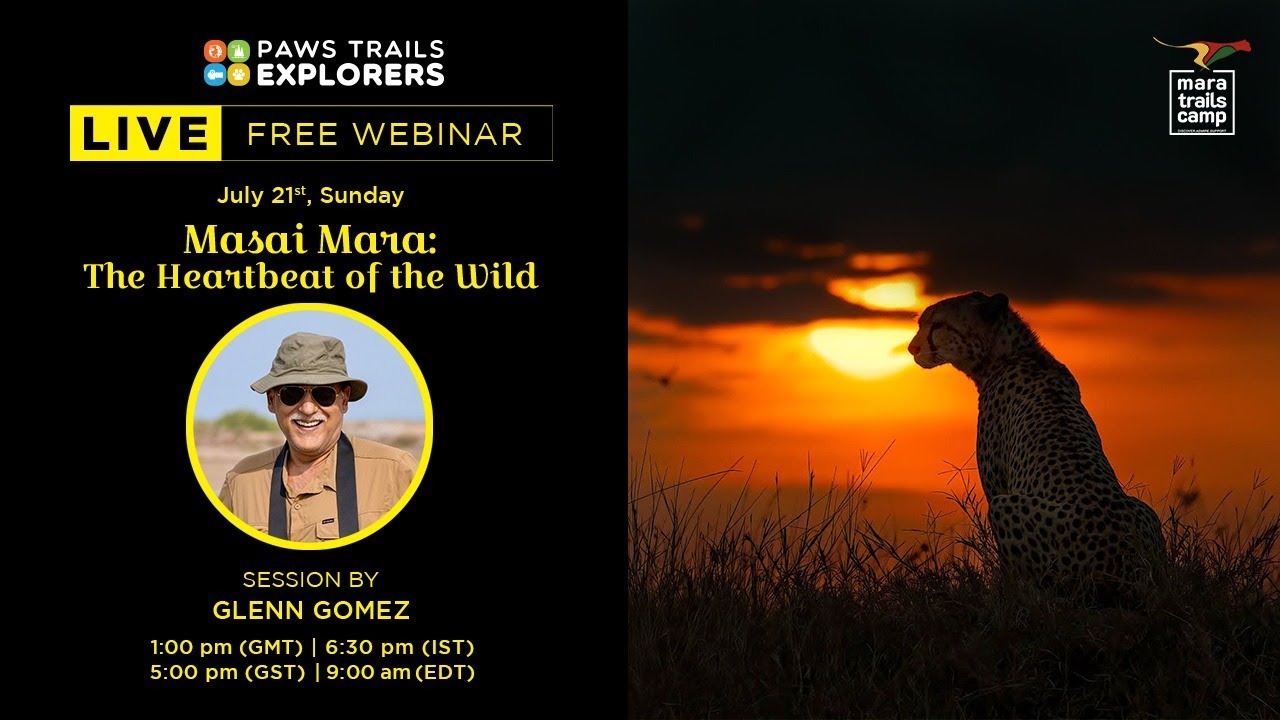 Masai Mara: The Heartbeat of the Wild by Glenn Gomez - YouTube