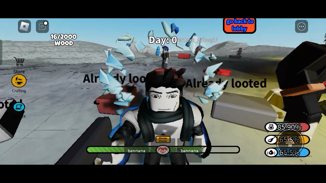 day 1 playing the game called survive flight 871 real the description ...