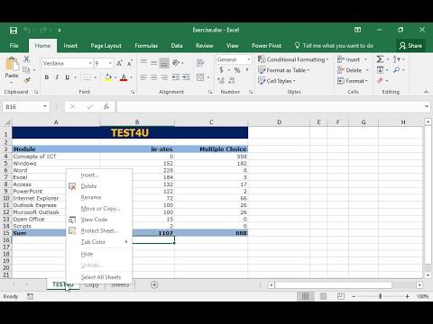 Make sure the TEST4U tab (worksheet) is displayed in Dark Blue, Text 2 ...