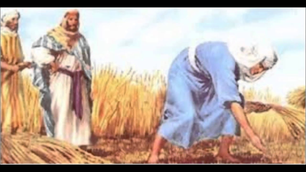 LA HISTORIA DE RUT ( CAPÍTULO 2) - YouTube