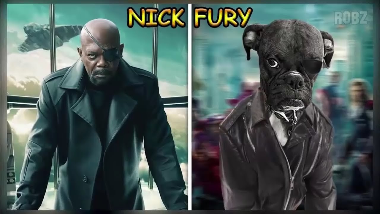 SuperHeroes in real life as dogs 2018 FTG - YouTube