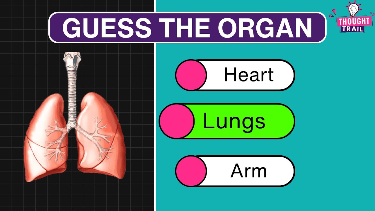 Can You Guess the Mystery Body Organ? | Anatomy Challenge # ...