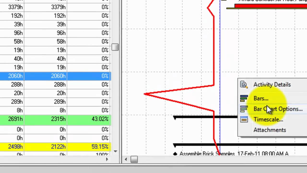Primavera P6 8.2 Progress line.mp4 - YouTube