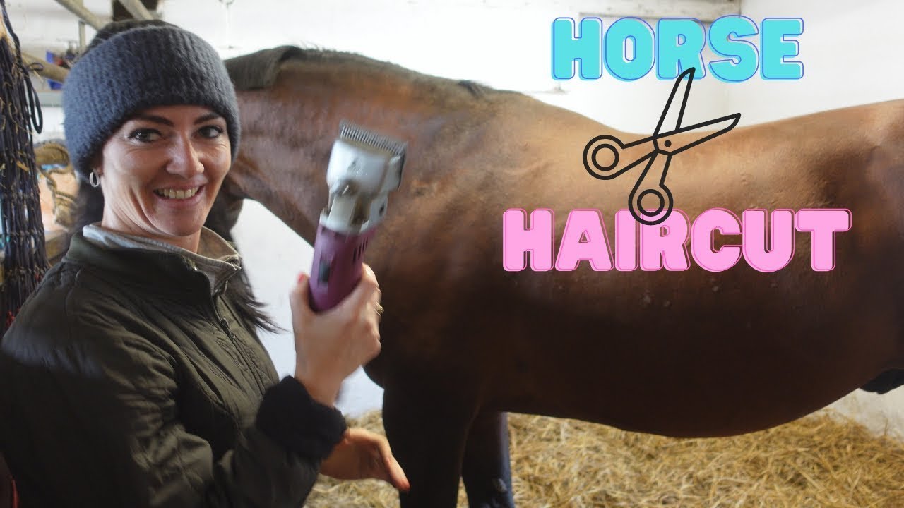 HORSE MAKEOVER TRANSFORMATION | GROOMING AND CLIPPING - YouTube