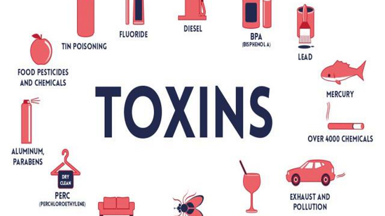 Toxin Cleanse— Lemon Water Flush Toxins - YouTube