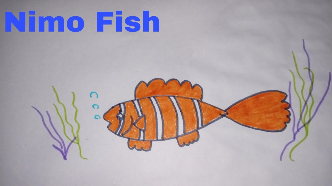 How to Draw Nimo Fish easy Drawing for Kids #viral - YouTube