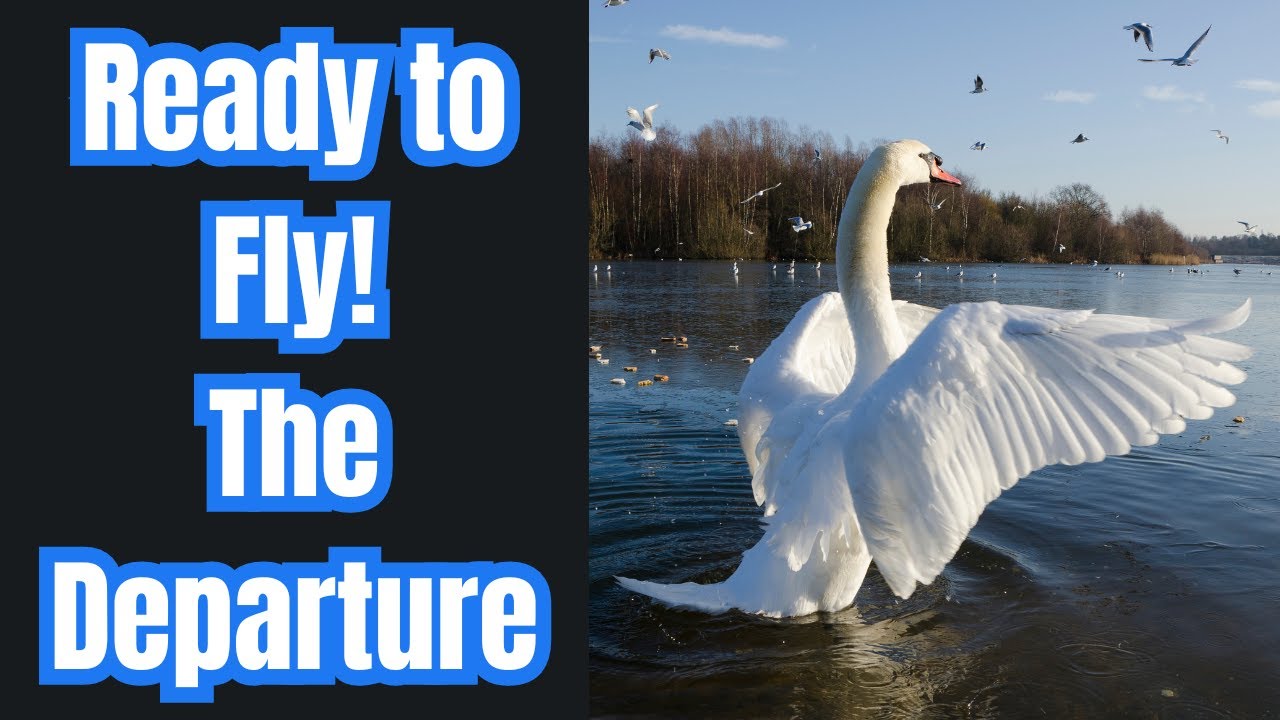 The Departure/Rapture in 2 Thessalonians 2:3 by Dr. Thomas Ice, SEVEN ...