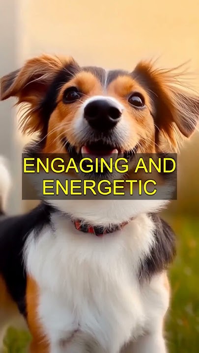 Winter Dog Care: 3 Secrets to Keep Your Pup Warm & Safe - YouTube