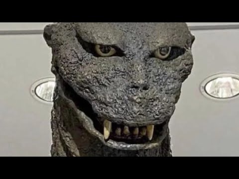 Will I forgive toby the rabbit? - YouTube