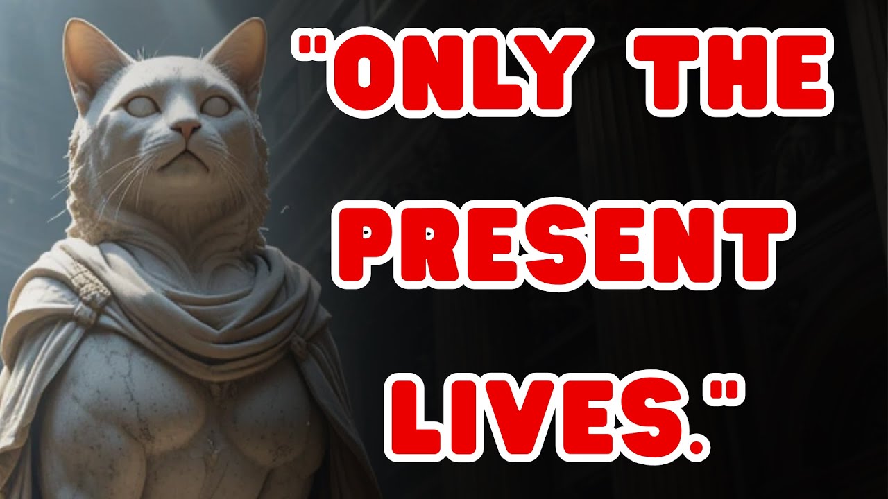 Through the eyes of a Stoic cat: What does the past truly mean? # ...