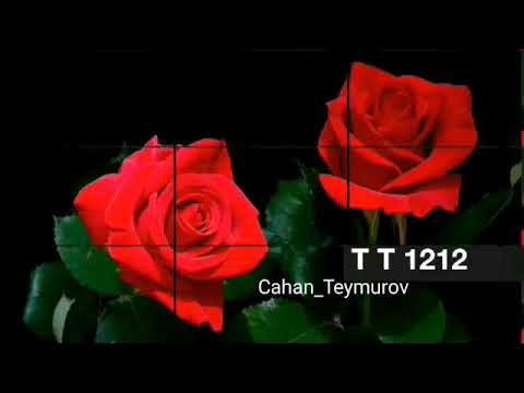 Hezin melodia-2019 Hit