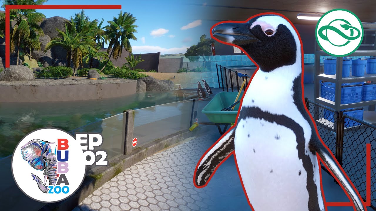 🐘 Hábitat de PINGÜINOS AFRICANOS | BUBA ZOO #2 | PLANET ZOO - YouTube