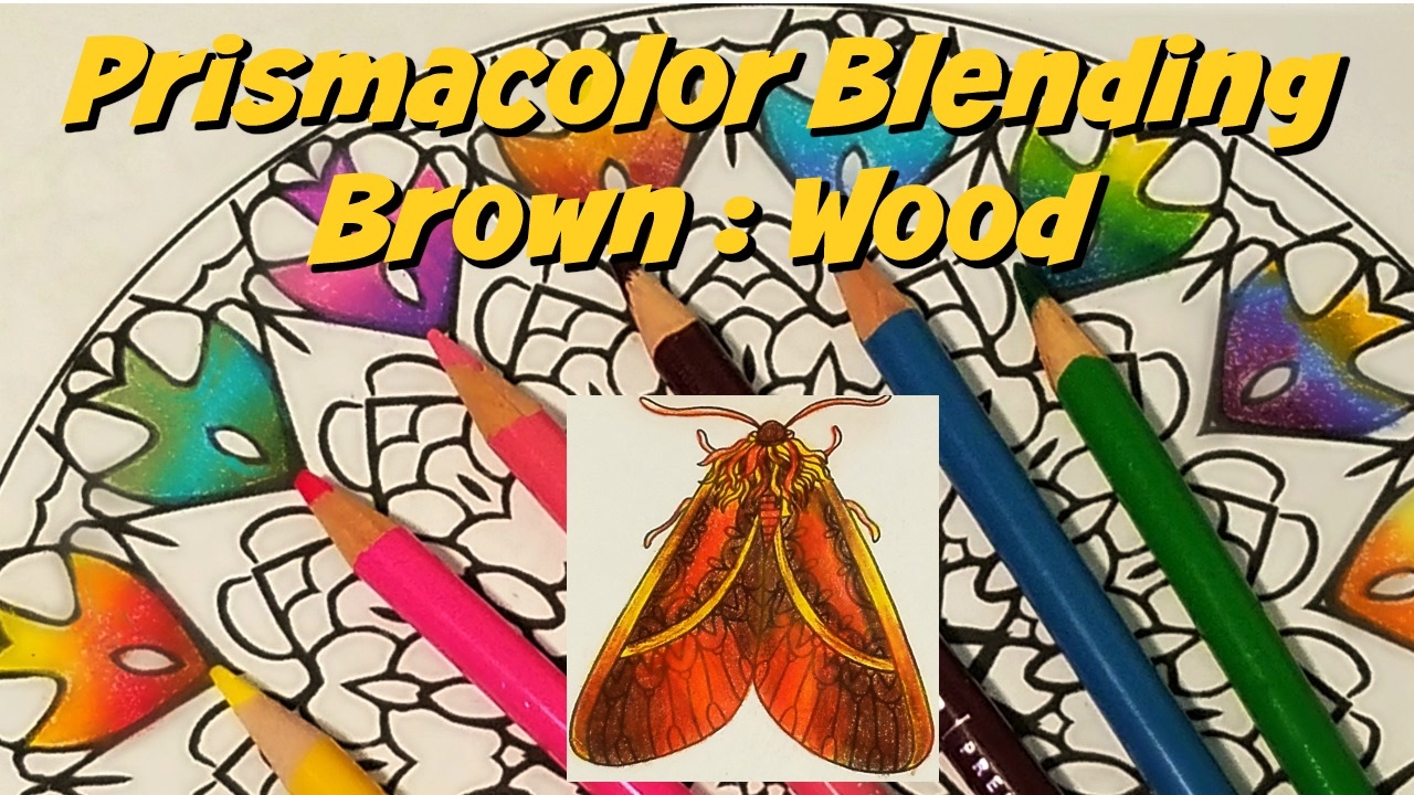 Color Blending / Wood, Trees, Insects / Tutorial - YouTube