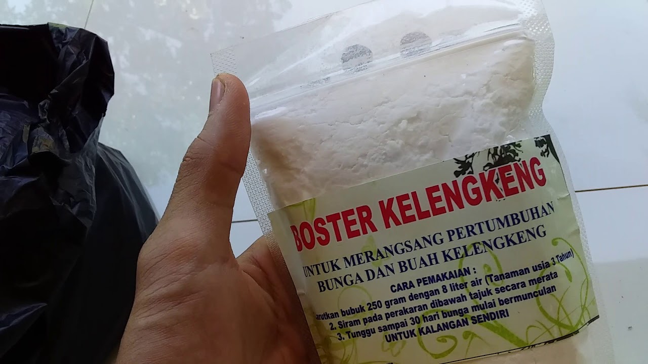 Obat perangsang akar dan boster klengkeng - YouTube