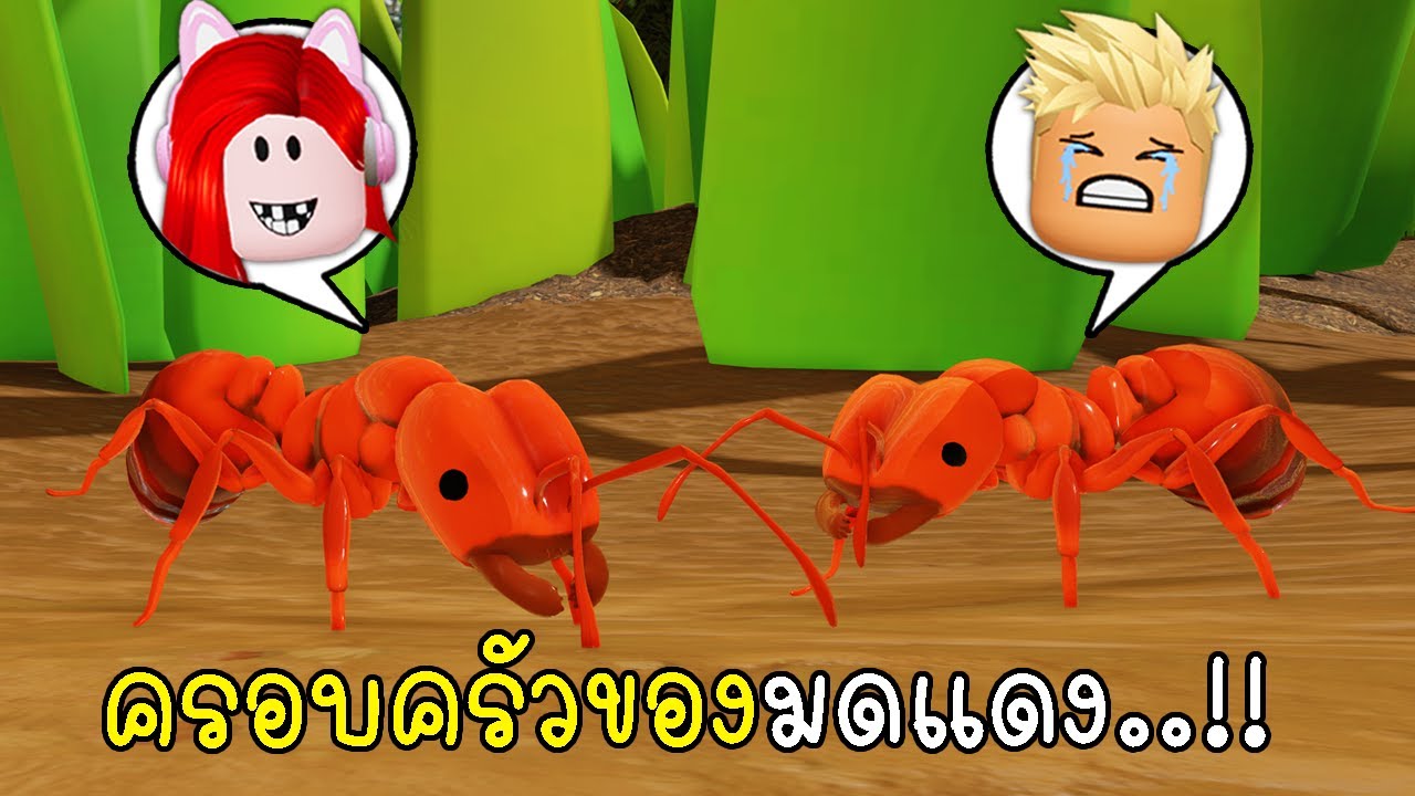 พี่ฝนพี่เอกเป็นครอบครัวมดแดง 🐜🐜 🐛 Roblox Ants - YouTube