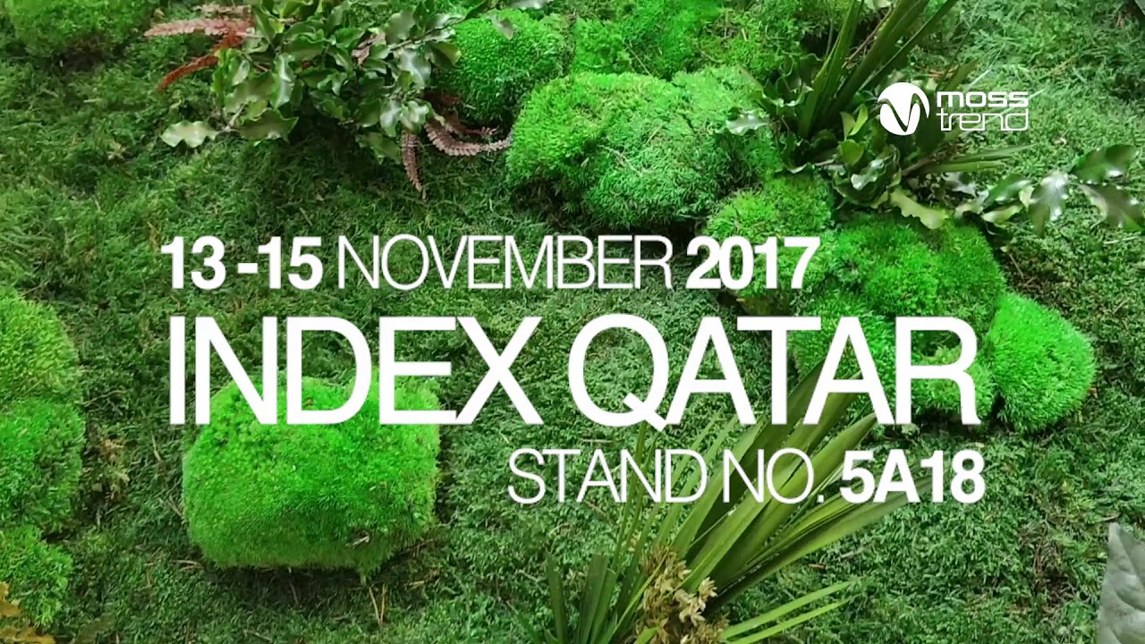 Index Qatar 2017 - Moss Trend - preserved moss for interiors - YouTube