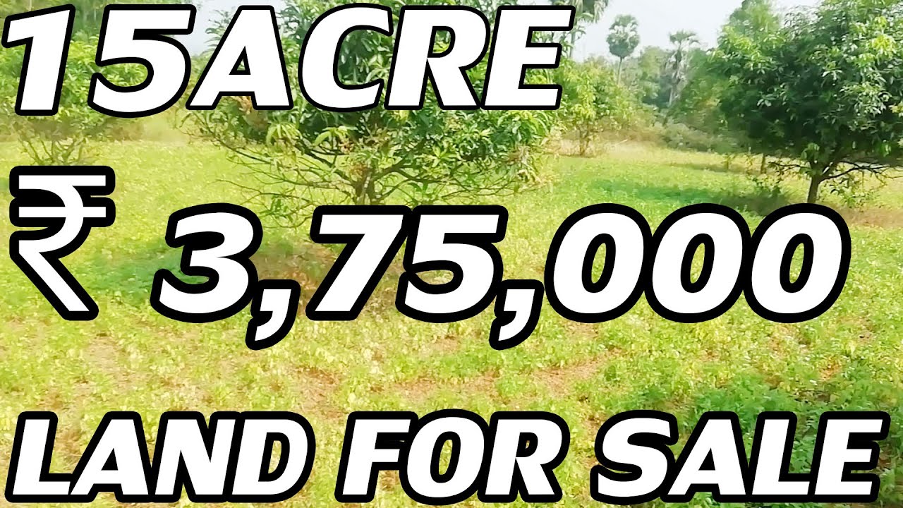 15 ACRE LAND FOR SALE | COST PER ACRE IS ₹ 3,75,000 /- LAKH |MANGO ...