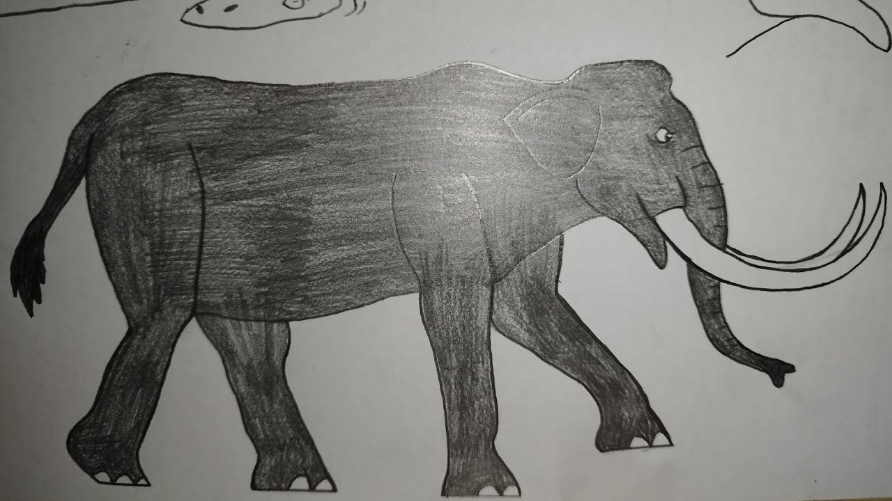 Sound Effects-Cyprus Dwarf Elephant - YouTube