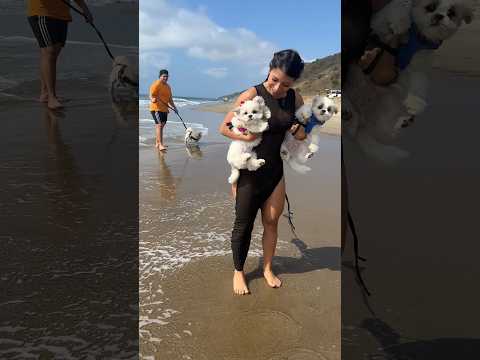 Mis Bebés conoces el Mar por primera Vez😍  | La Jennifer Ponce  | 2026