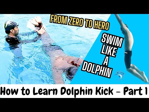 How to Learn Dolphin Kick (Part 1) - Swimming Tips For Beginners ...