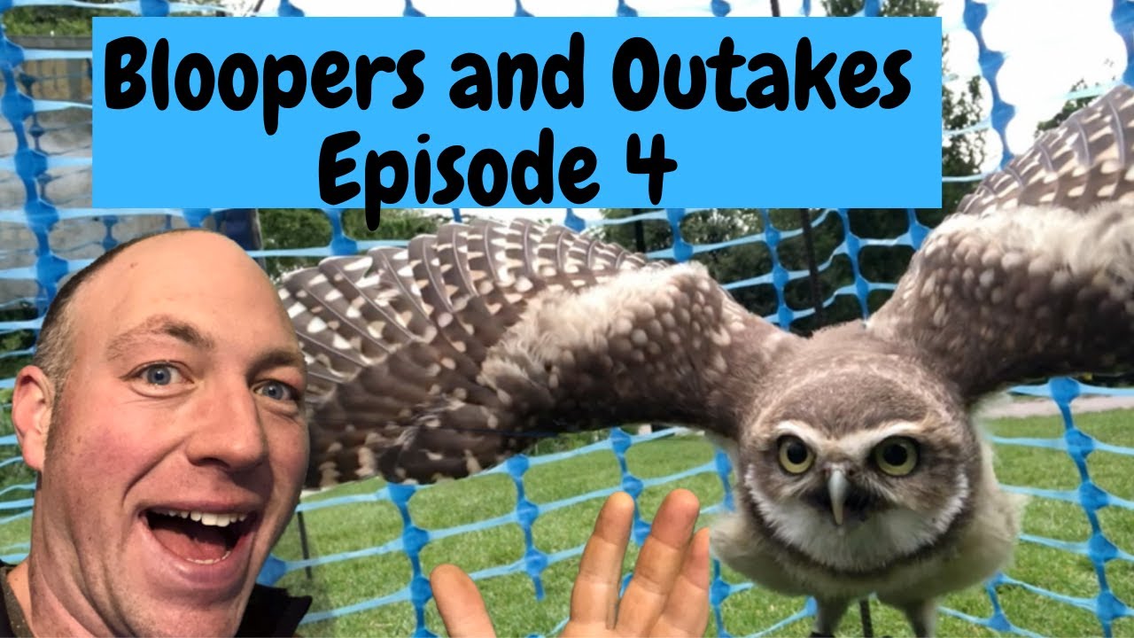 Bloopers 4 - Presenter fails and funny birds causing havoc...Enjoy ...