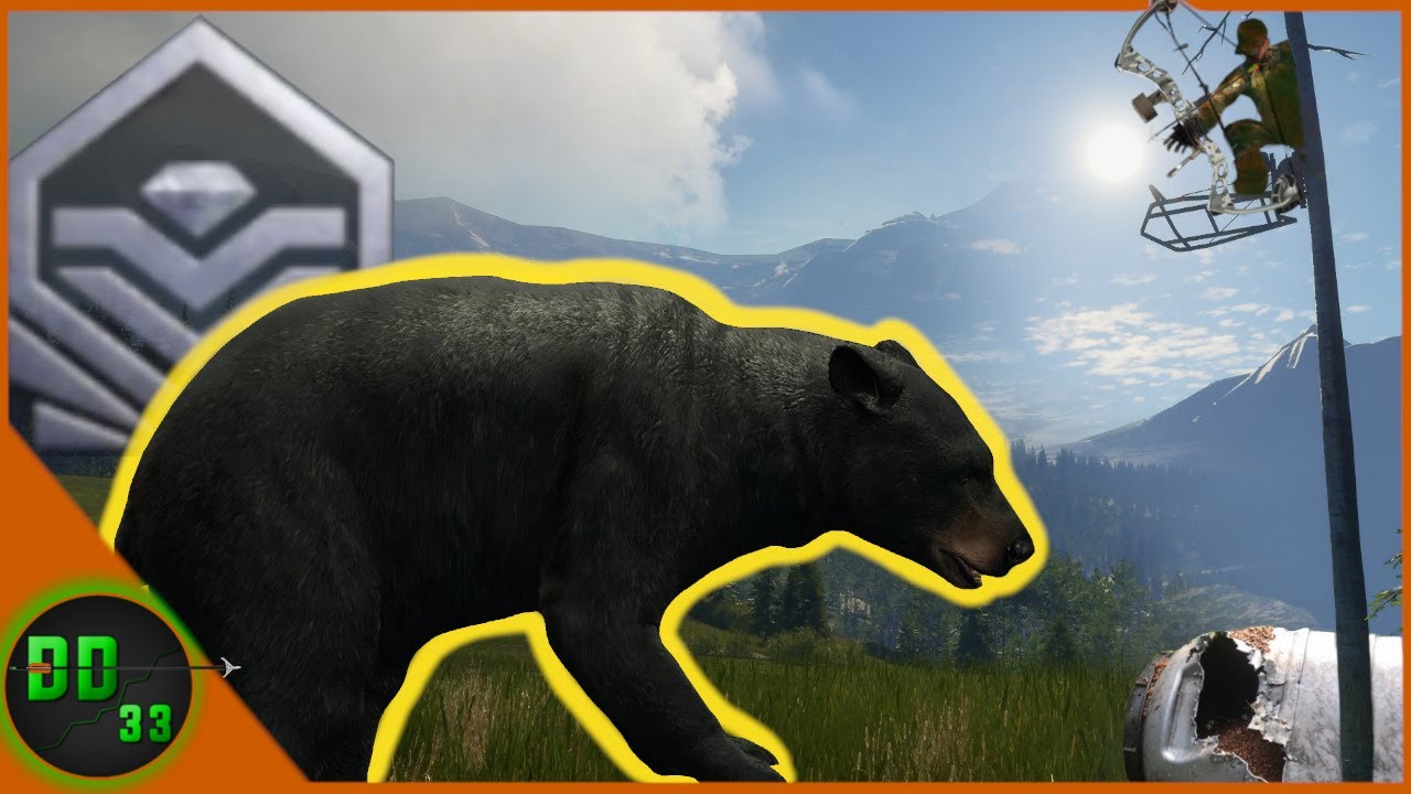 We Baited in Our Biggest Black Bear Ever From A TREE STAND!! Call Of ...