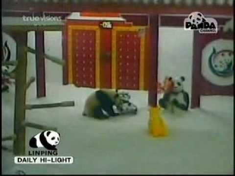 Lin Ping Daily Hi-Light 12 April 2011 - YouTube