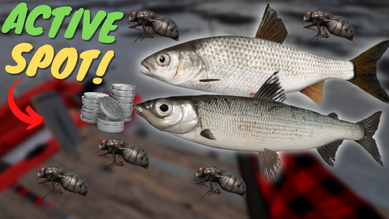 ACTIVE TUGUN SPOT IN TUNGUSKA RIVER! #597 Russian fishing 4 - YouTube