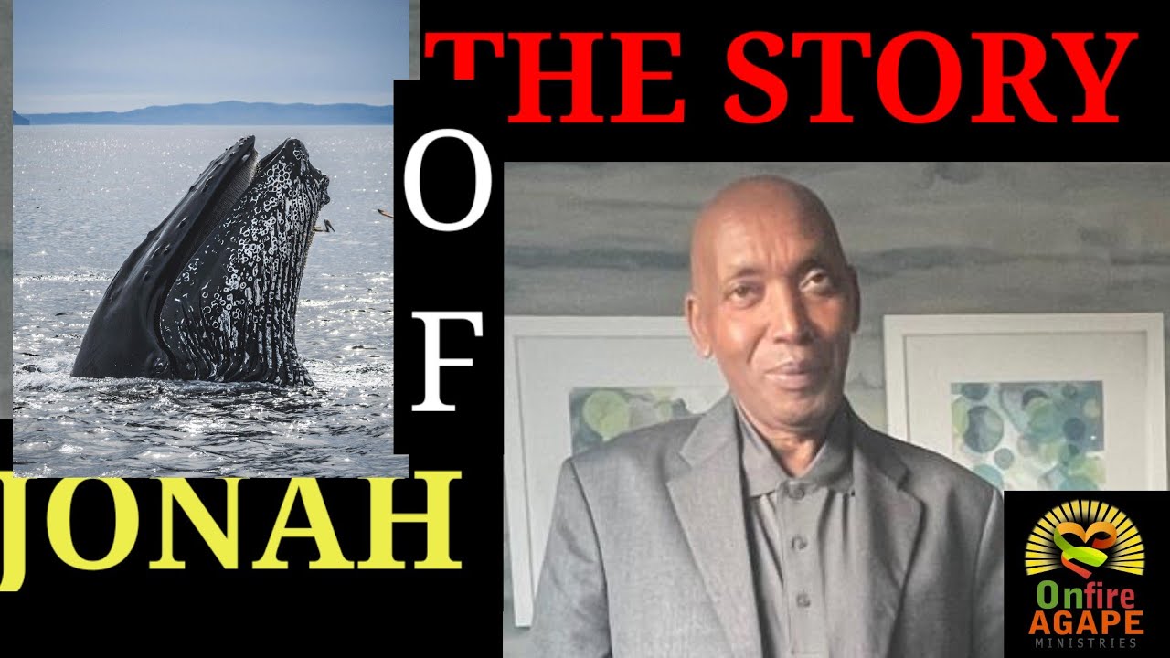 NOW I KNOW WHY JESUS WENT TO THE CROSS: THE STORY OF JONAH AS YOU HAVE ...