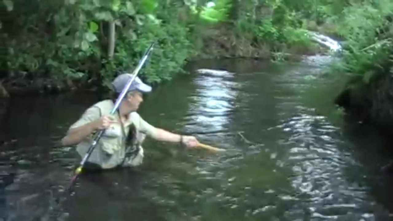 Pesca mosca seca con vara - YouTube