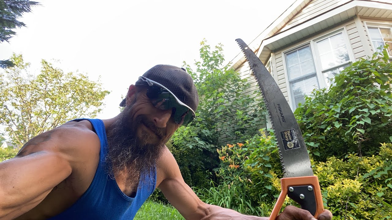 Where is @Al Bladez when I NEED HIM…😂😂 ️Scag Turf Tiger 2 OVERGROWN ...