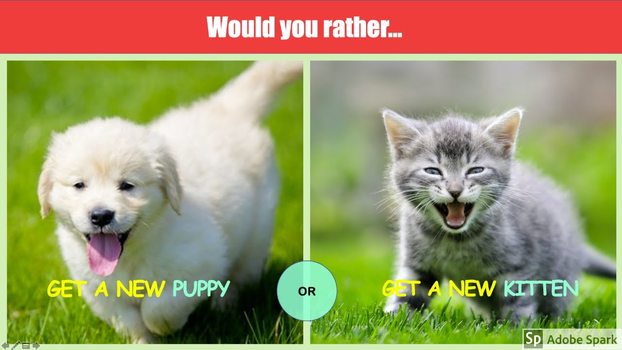 Would You Rather-10 fun questions for kids (#1) - YouTube