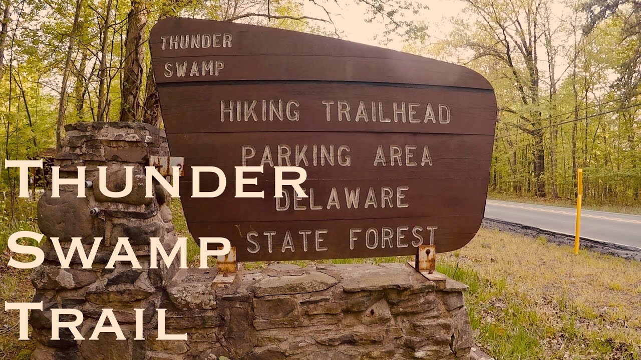 Thunder Swamp Trail | Day One - YouTube