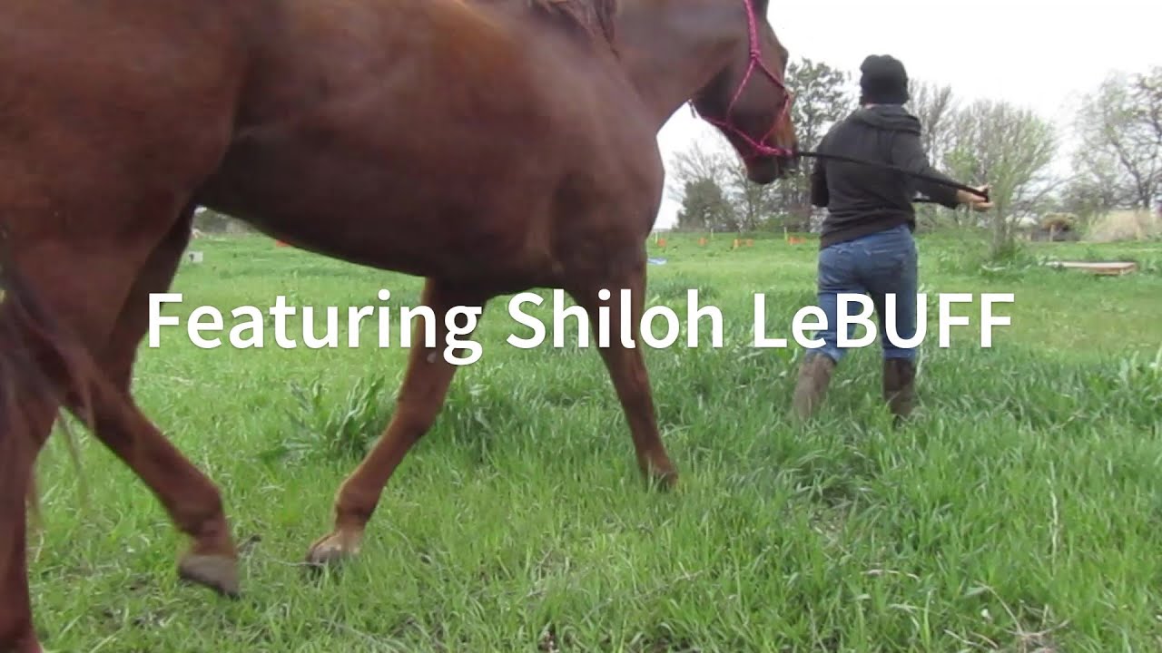 Intro: Shiloh LeBUFF (video for owner) - read description - YouTube