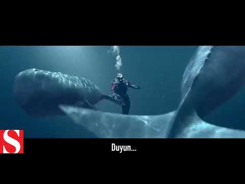 THY´nin yeni reklamı belli oldu
