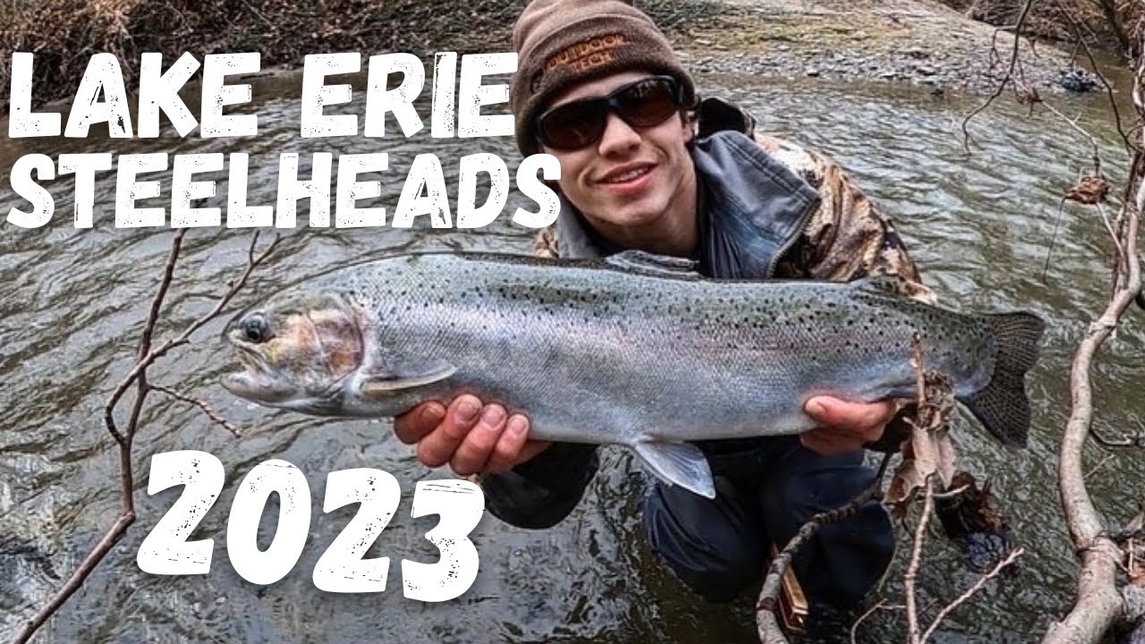 Lake Erie STEELHEAD Fishing 2023 (SMALL Tributaries) - YouTube