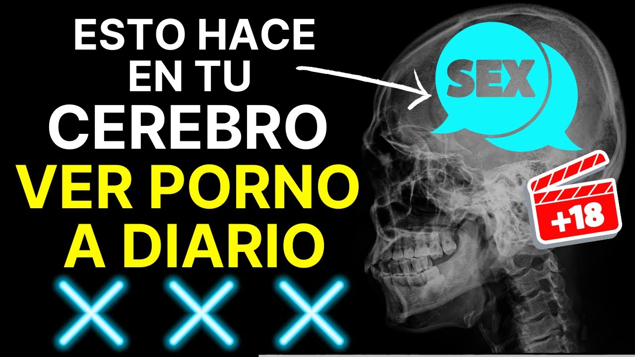 Los Efectos De La PornografÍa En Tu Cerebro Y Conducta Que No Te Cuentan En La Universidad Y