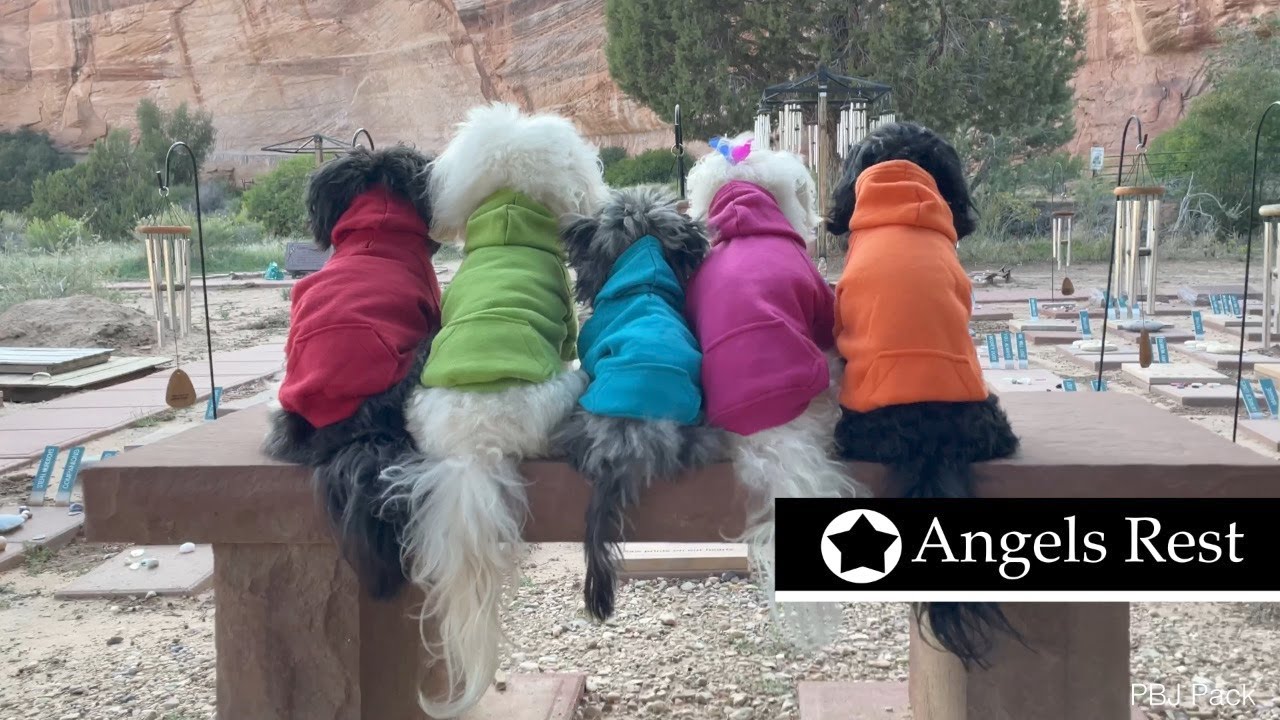 Angels Rest at Best Friends Animal Sanctuary - YouTube