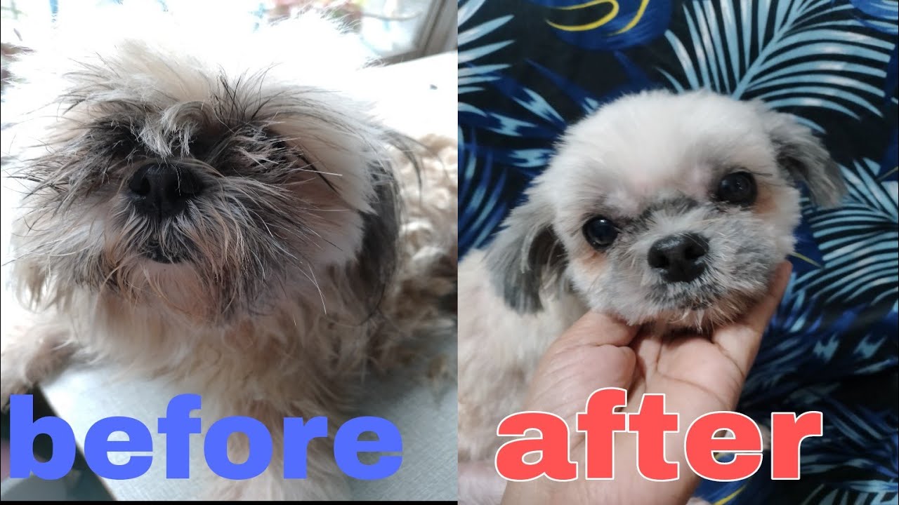 FIRST TIME MO BA? TIPS KUNG PAANO GUPITAN ANG MGA NAGBUBUHOL BUHOL NA ...